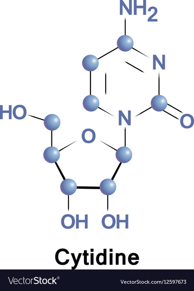 Cytidine | ADN Formations